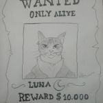 Drawabox.com | Drawing Prompt: Dead or Alive by wiljmorales