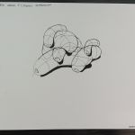 Drawabox.com | Lesson 5: Applying Construction to Animals by Derpickle